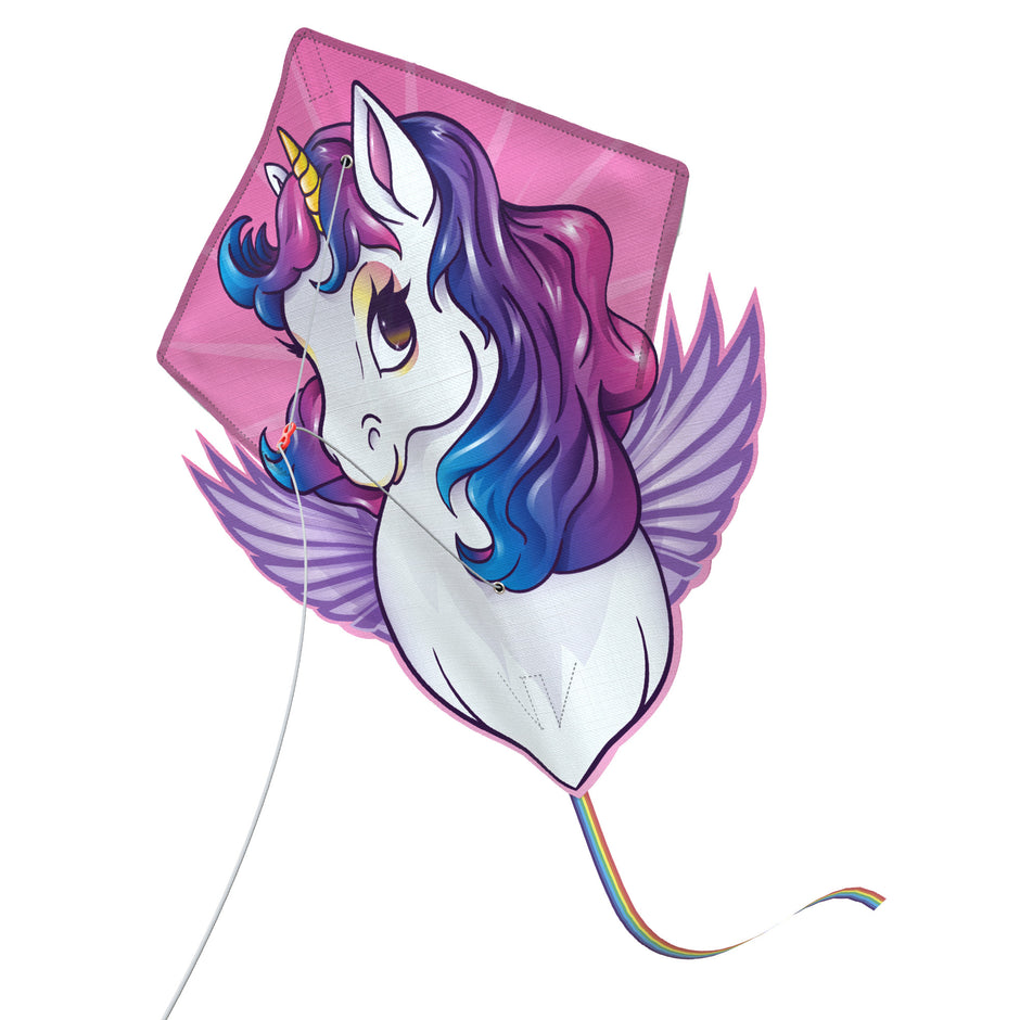 Brookite Kites – Outdoor Fun for All Ages – John Adams